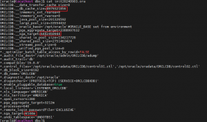 Fixing ORA-27104: system-defined limits for shared memory was ...